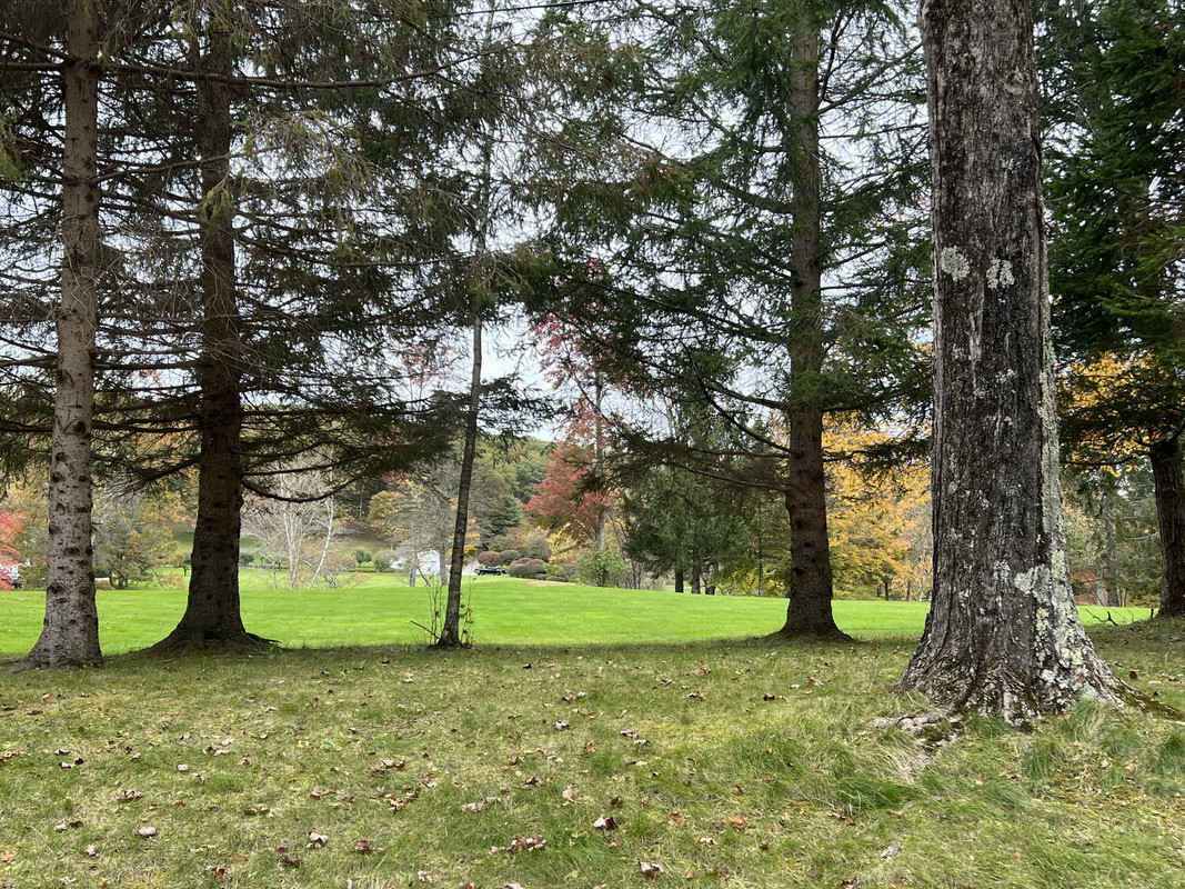 IMG 3697 — Postimages