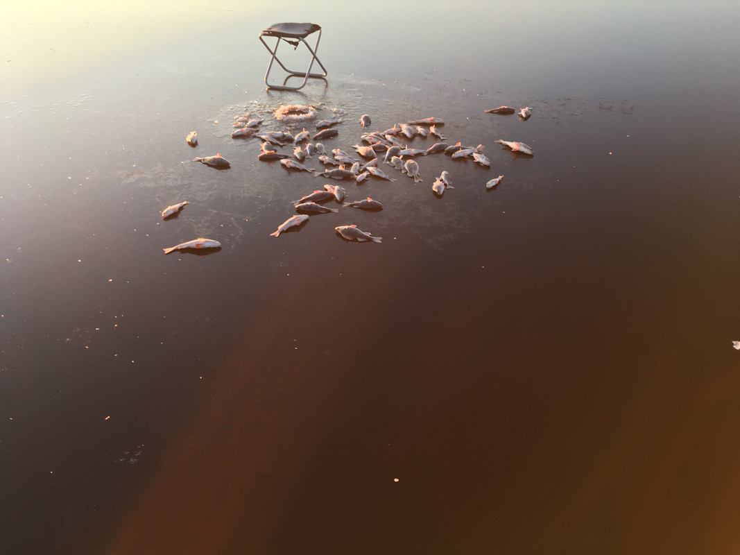 IMG 2792[1] — Postimages