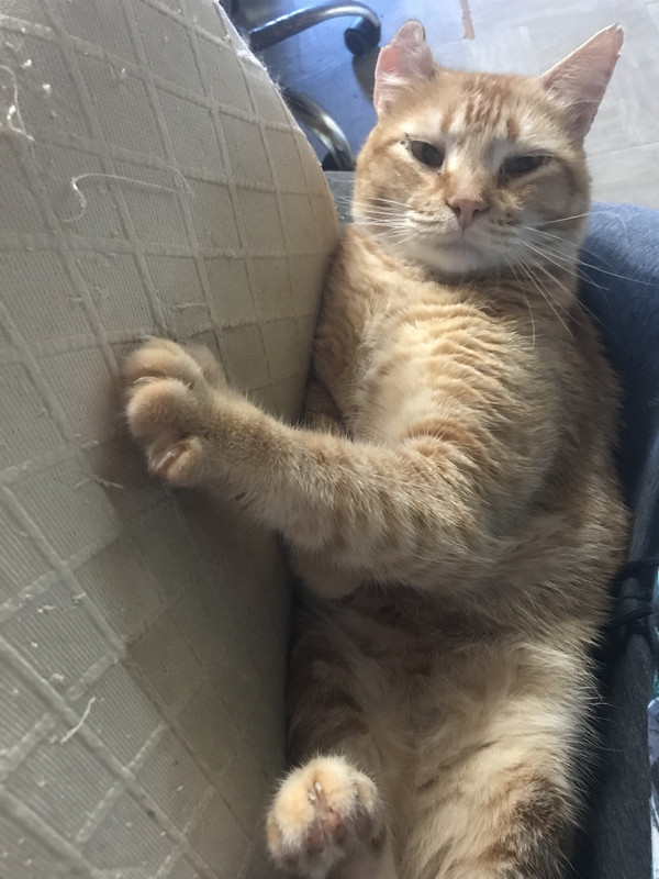 657121 F1 173 F 42 E8 A48 E DC4 E11 AFB39 B — Postimages