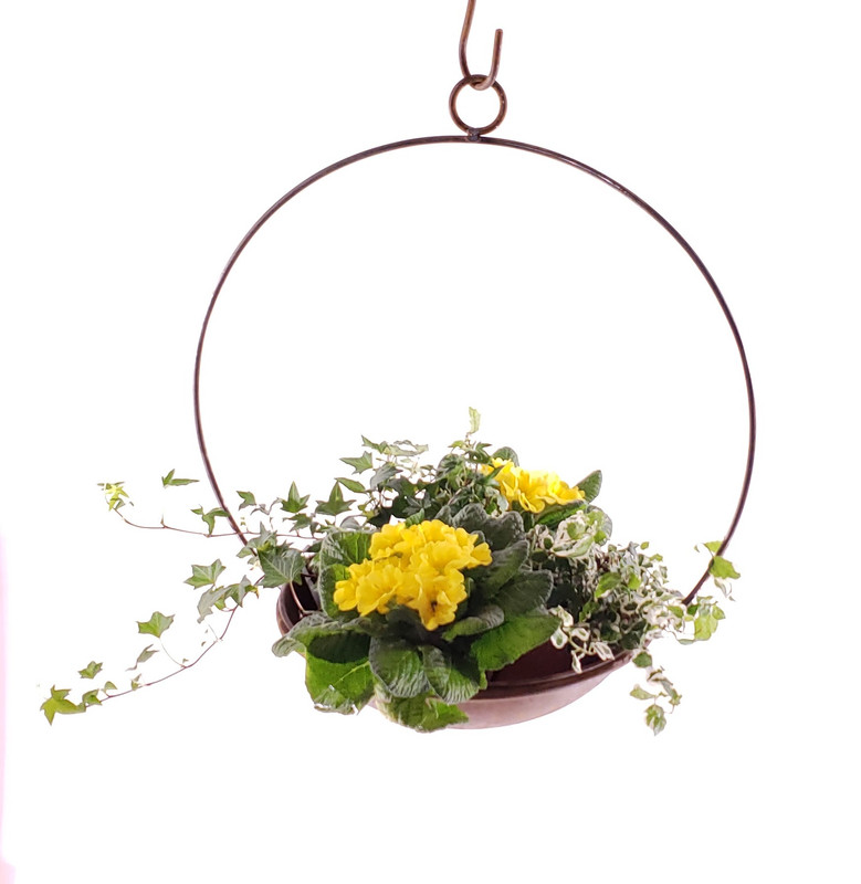 CH10 WOK 10 DISPLAY — Postimages