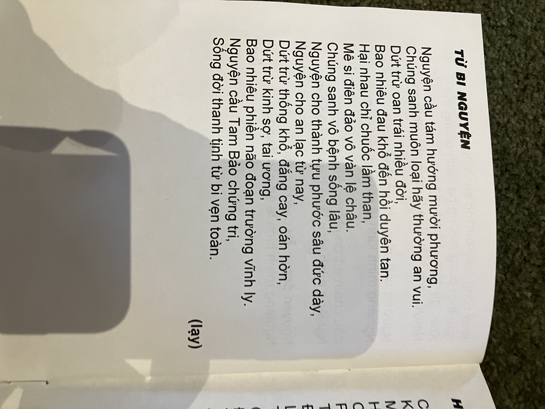 IMG 2744 Tu Bi Nguyen — Postimages