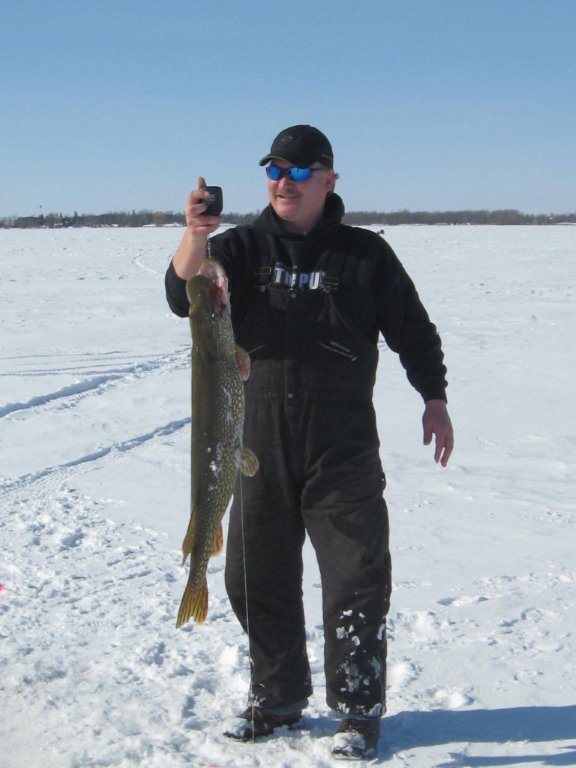 Pike Eating A Perch - 24hourcampfire