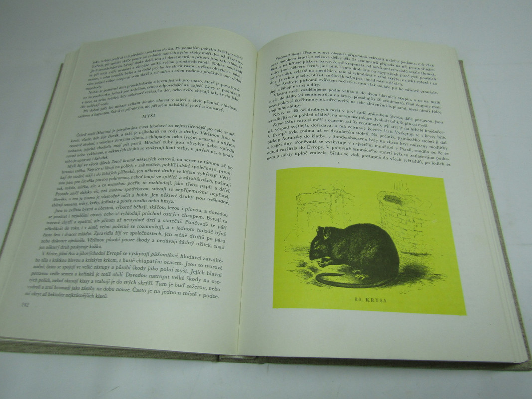 IMG 5508 — Postimages