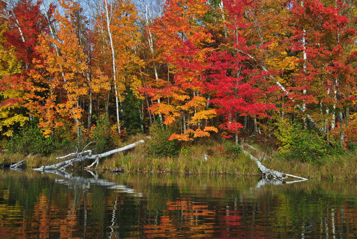 183fall — Postimages