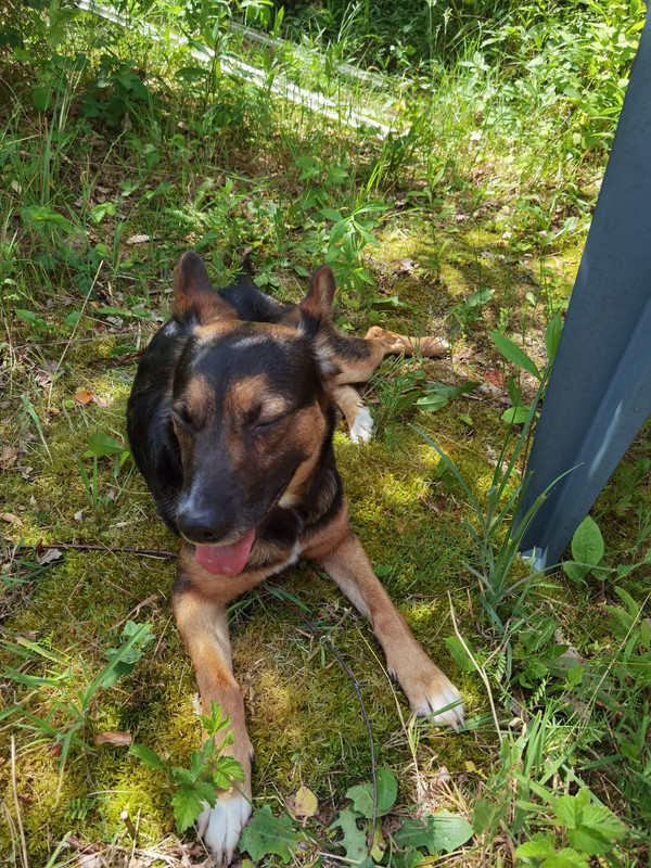 IMG 20240618 123802 — Postimages