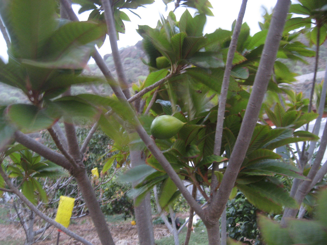 IMG 5285 — Postimages