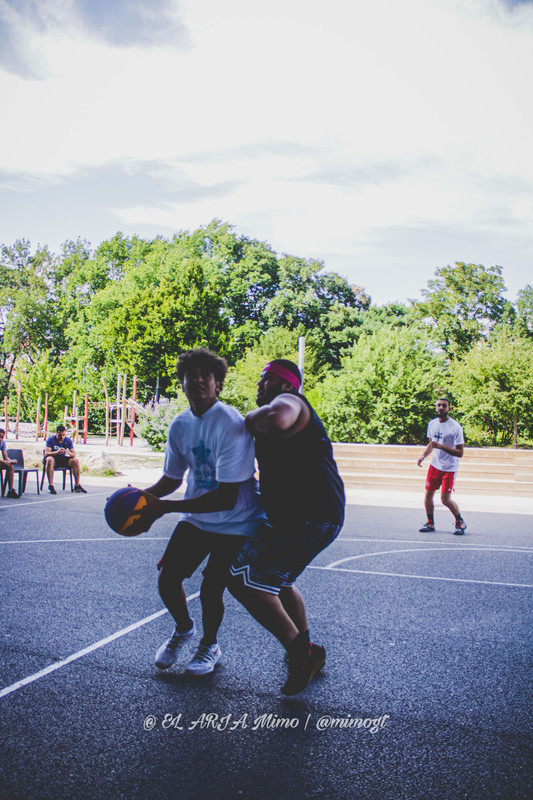 MG 3567 — Postimages