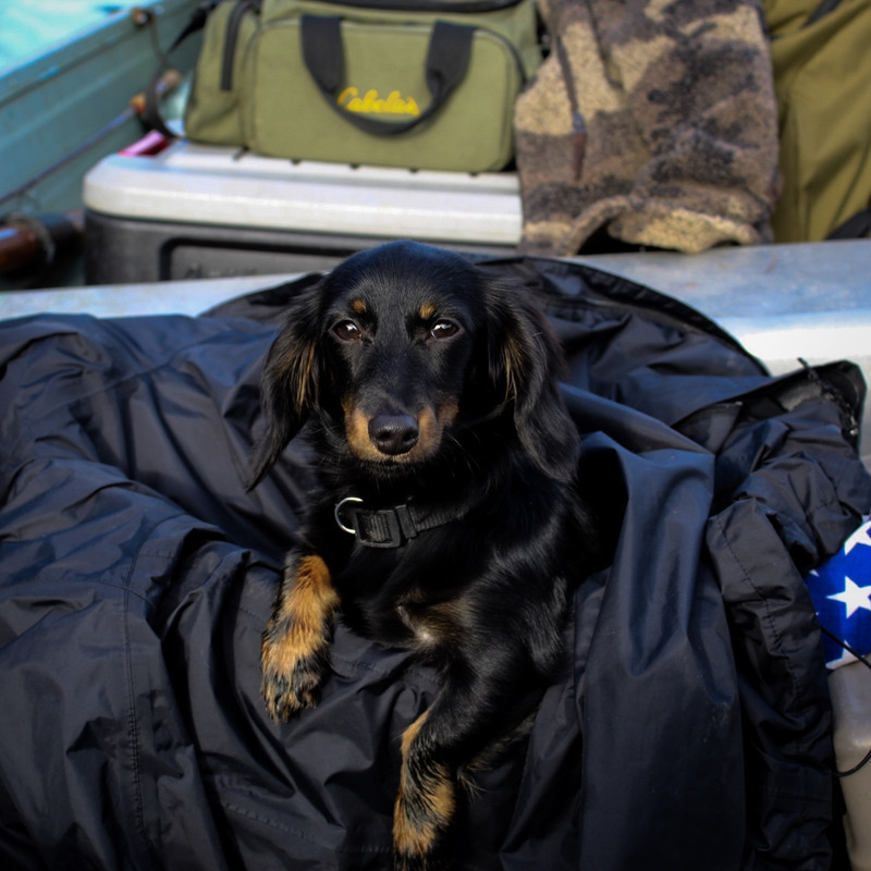 0 FD47 AB6 4 D19 48 FF 9 FA2 F08 CC6443761 — Postimages