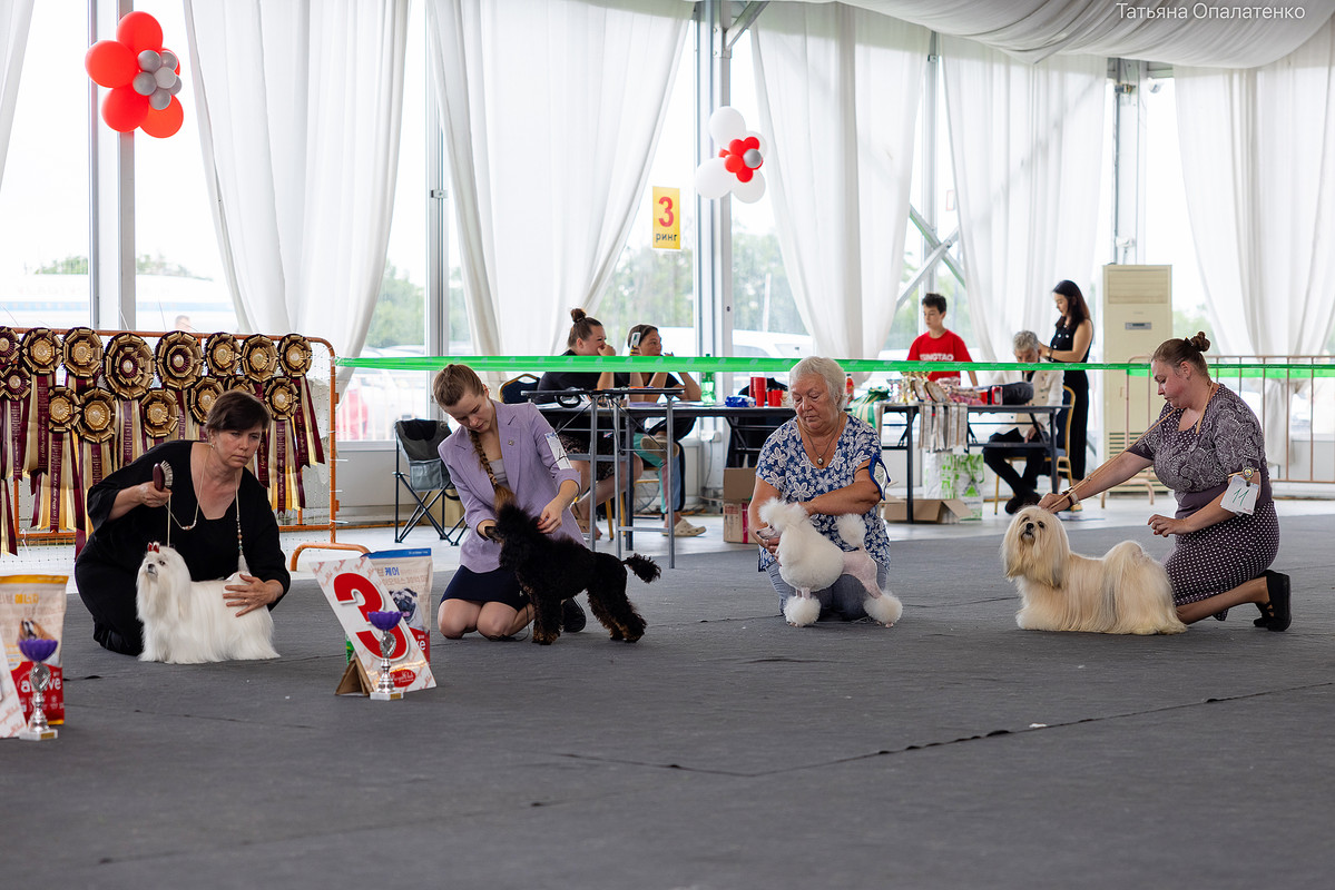 IMG 6716 — Postimages