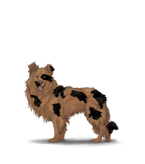 Sheltieblackmark — Postimages