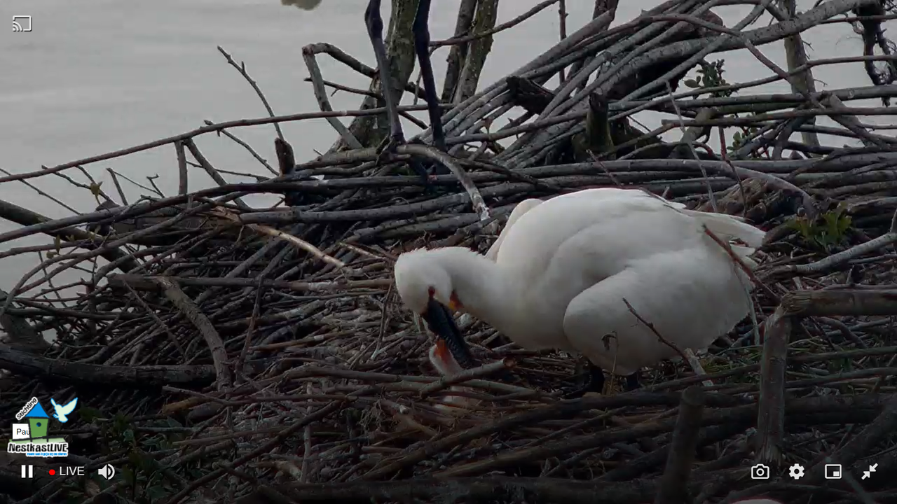 2023 04 21 21 — Postimages