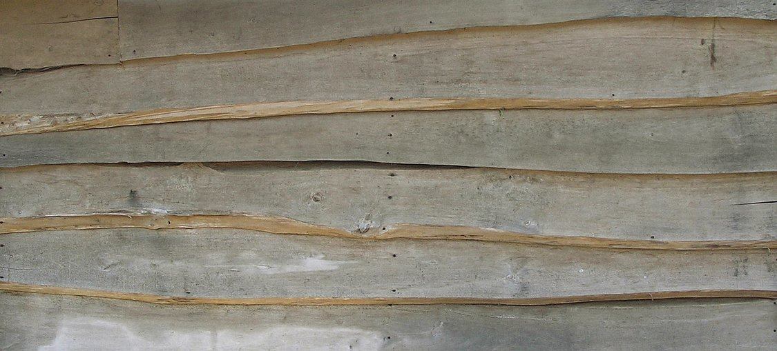 656 Map Texture Wood 3dsMax Free Download