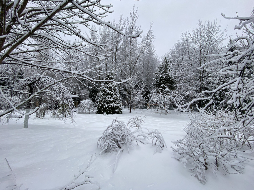 IMG 1561 — Postimages