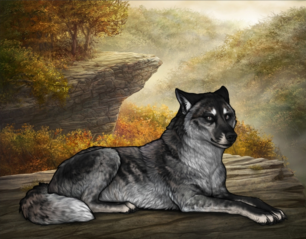 𖤝 VYGAILUS — Natural T* W/ HiStats & 10 Markings! 𖤝 ꧂ |:| Wolvden