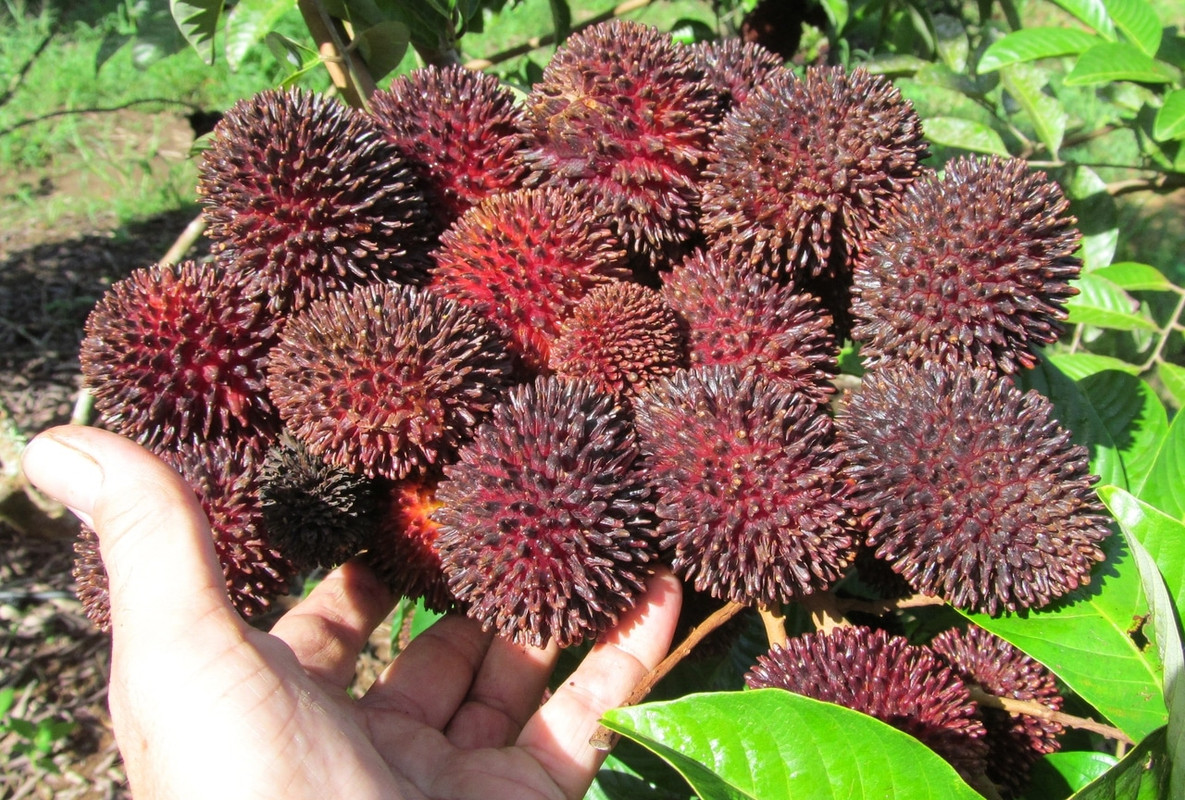 IMG 2775 — Postimages