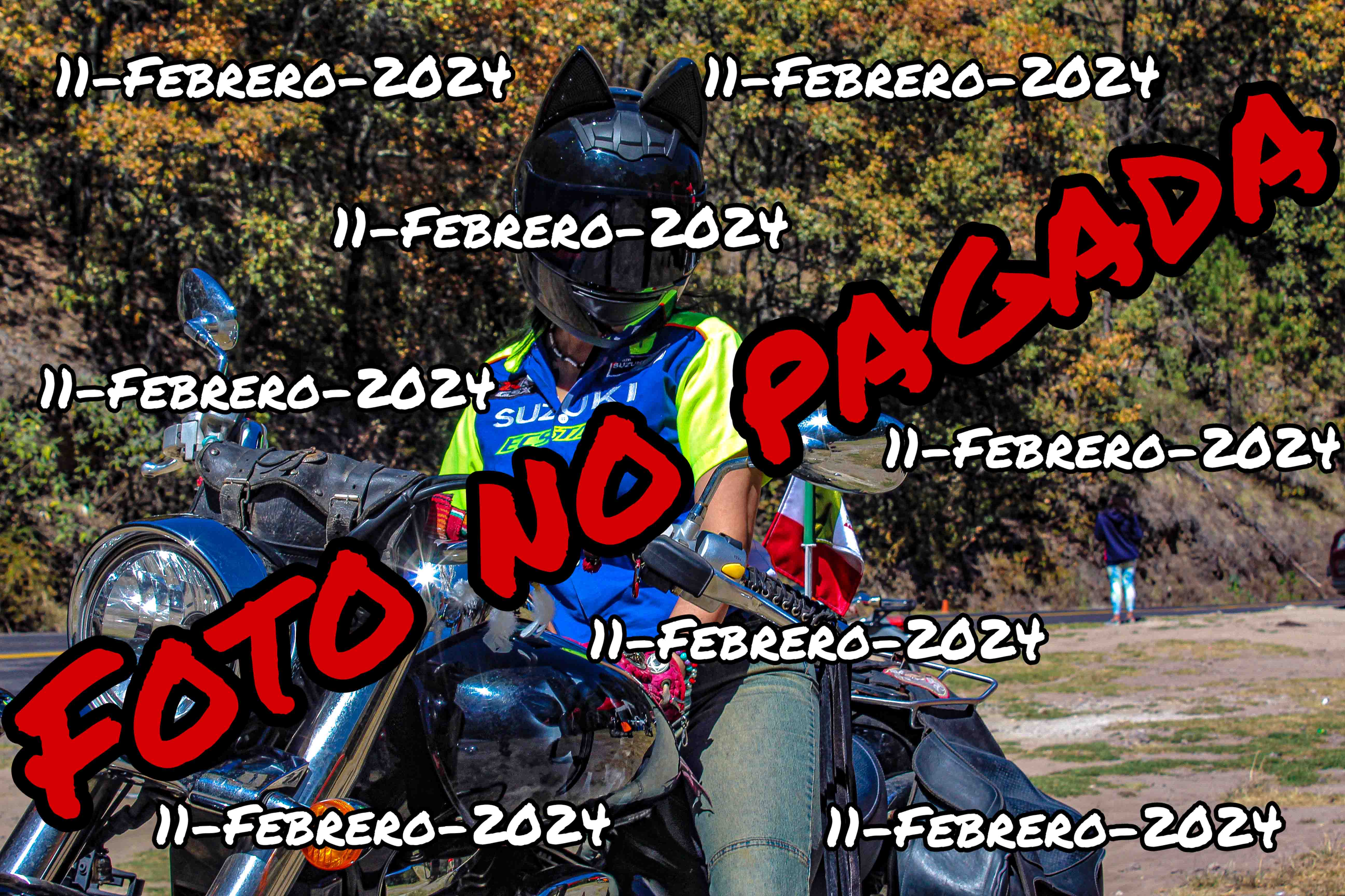 SC 130 — Postimages