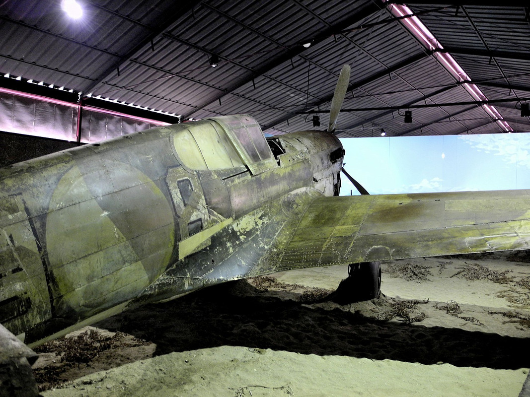 1/48th AMT P-40L Warhawk, 86th FS/ 79th FG, USAAF, Italy 1944 - Ready ...