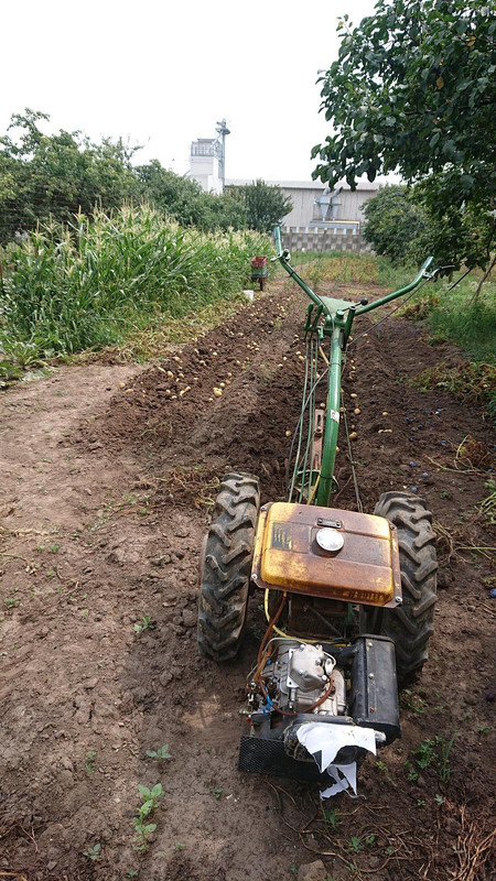 DSC 0108 — Postimages