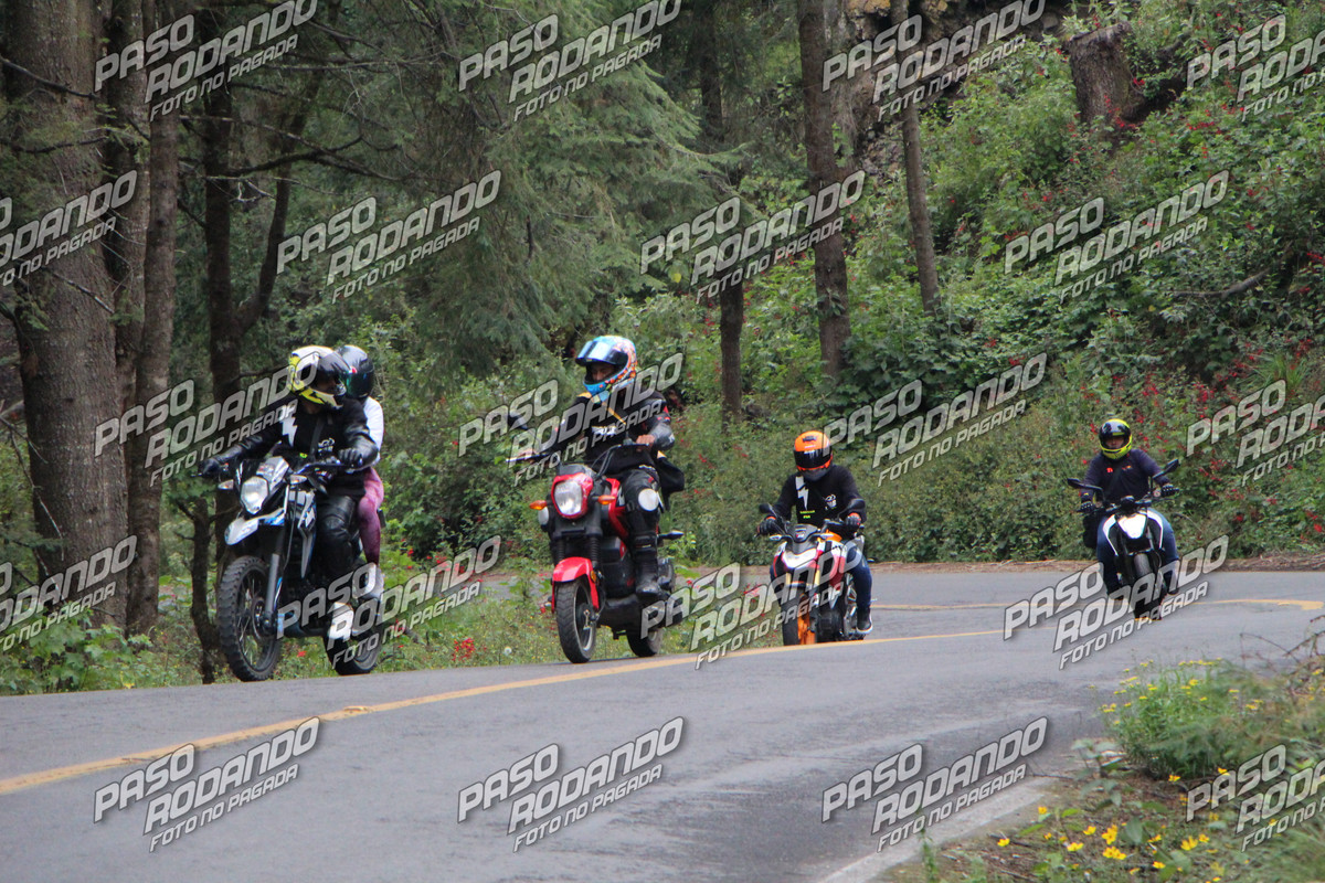 IMG 2890 wm 103425 89999999944 watermarked — Postimages