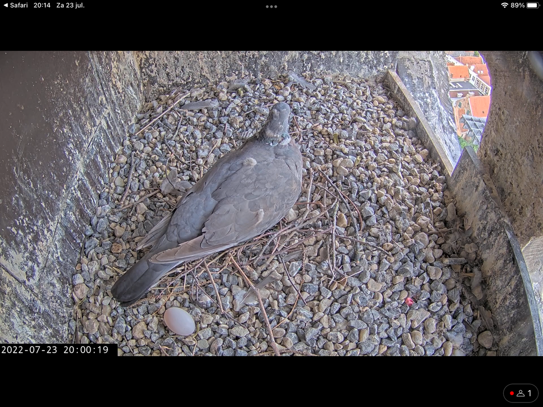 0 C71 A5 B7 DA80 48 D6 938 B 9 D7451 D3 B092 — Postimages