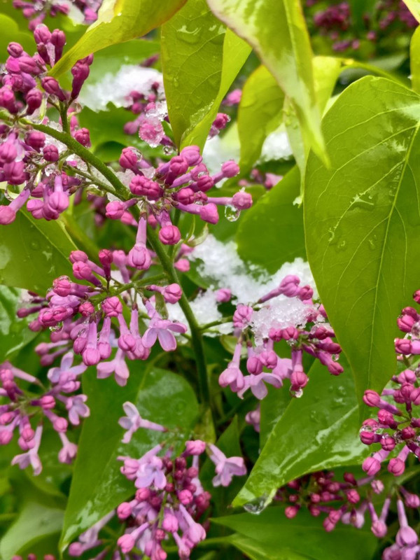 IMG 20240507 094920 591 — Postimages