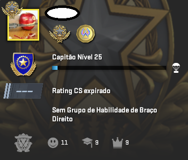 Cheap Counter Strike 2 Accounts for Sale - Buy CS2 Accounts with Skins