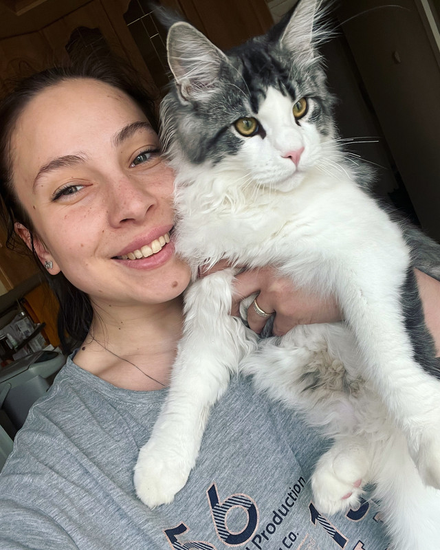 FAF7 FF28 D254 40 F9 9 E96 9022782 D0 D0 A — Postimages