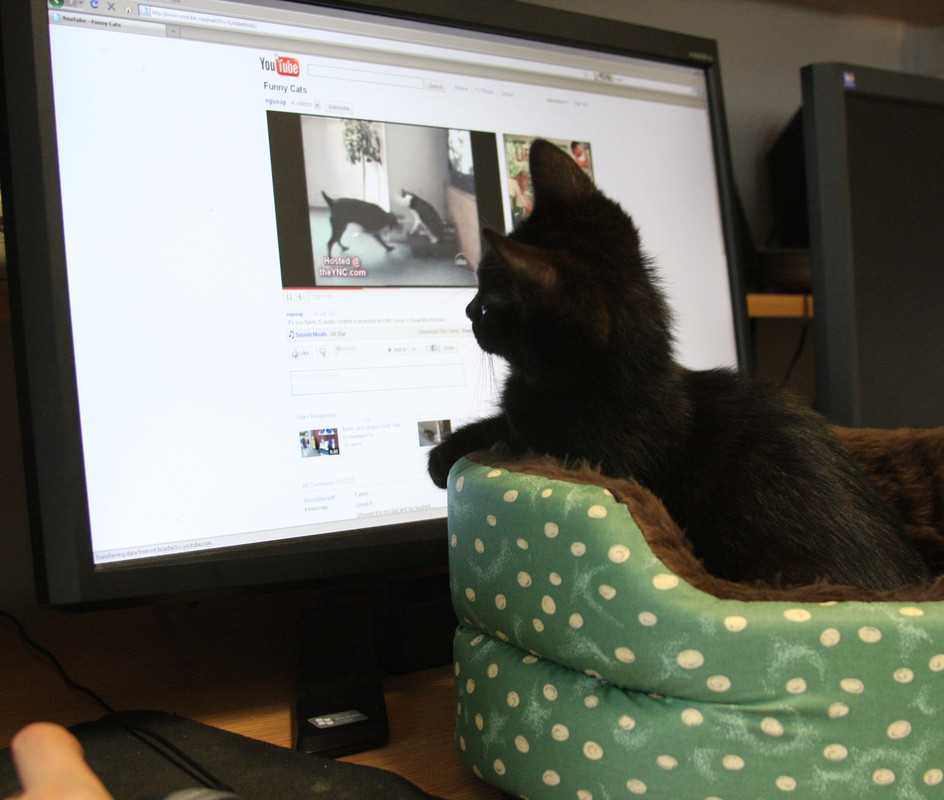 little one — Postimages