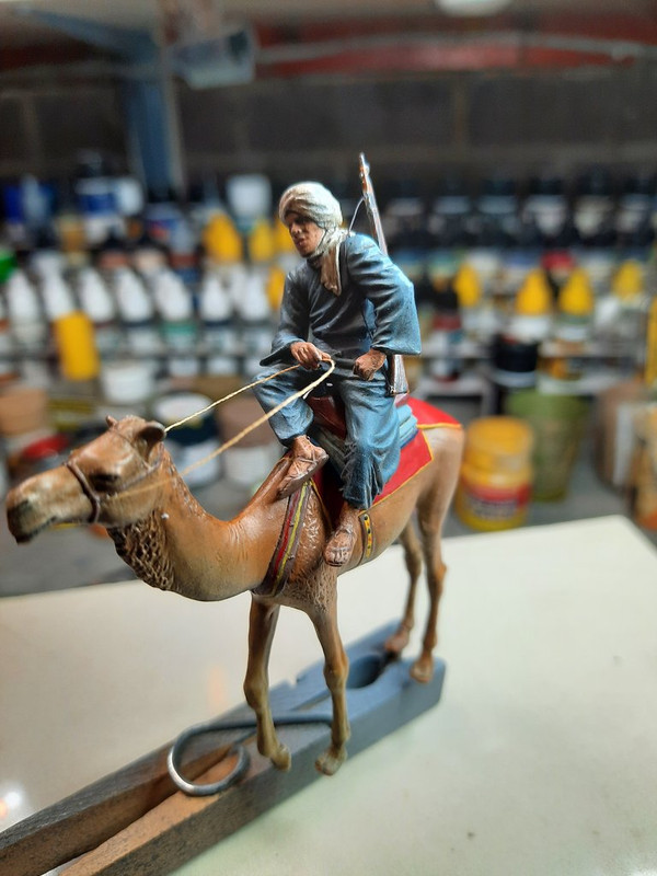 1/35 Camel and rider - Figure Work In Progress - Britmodeller.com