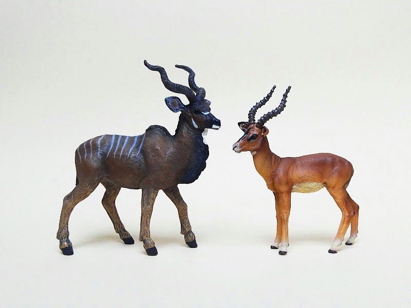 Antelope Elegance - Page 6