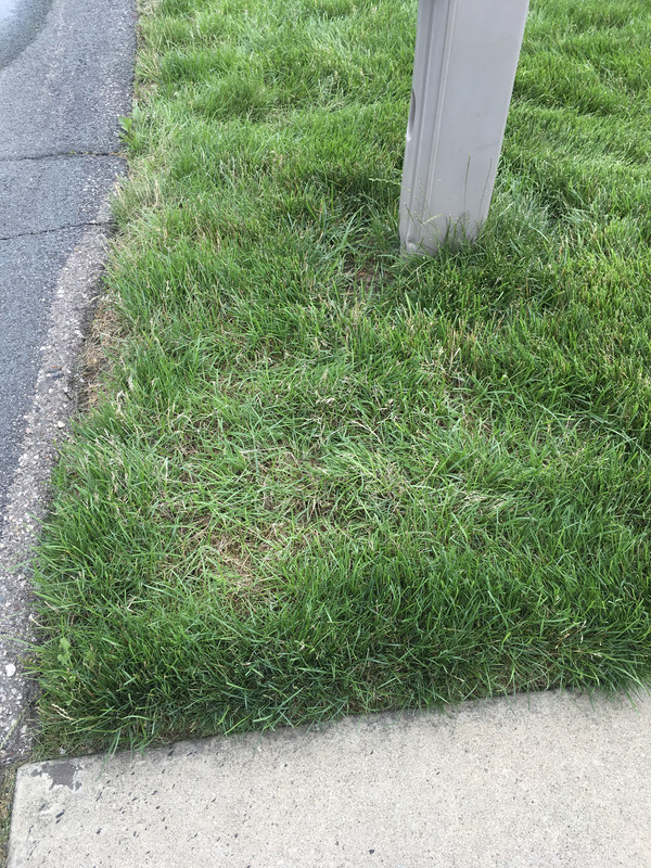 5 CF2 C019 61 A3 43 E8 A7 C5 23 A30094731 E — Postimages