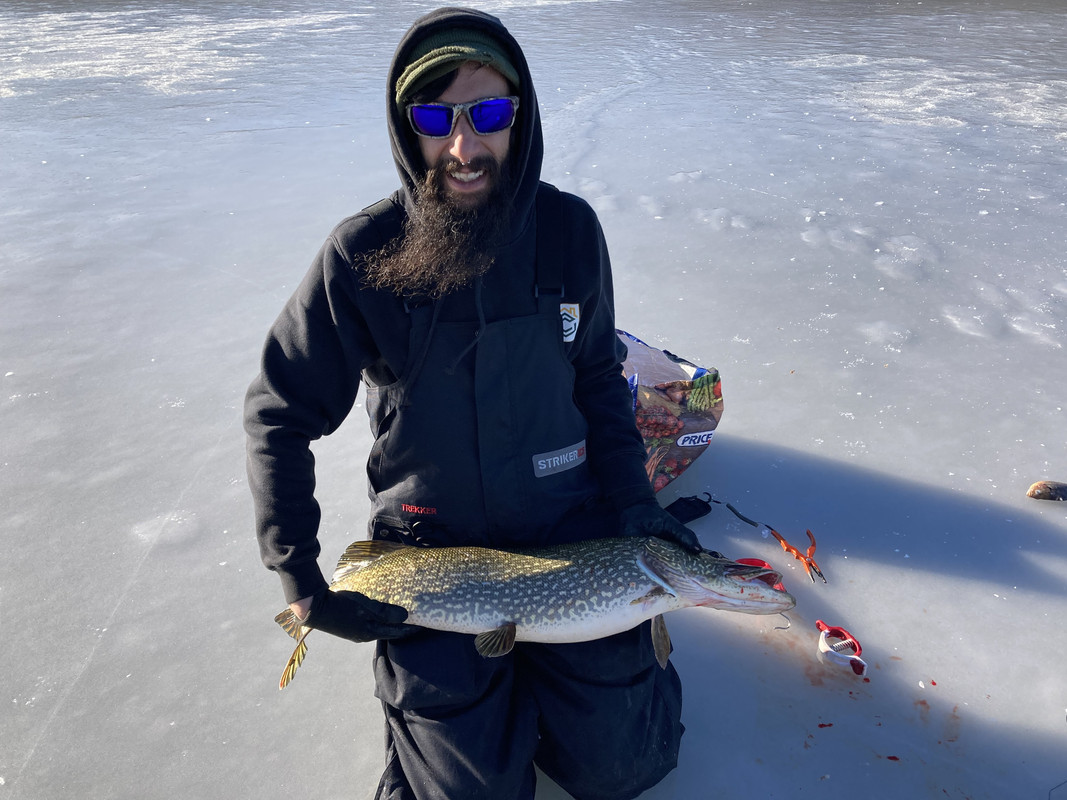 IMG 3036 — Postimages