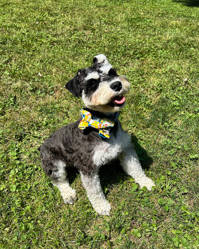 73 C666 C4 B4 D9 407 F BA08 CE6231 D8 A62 F — Postimages