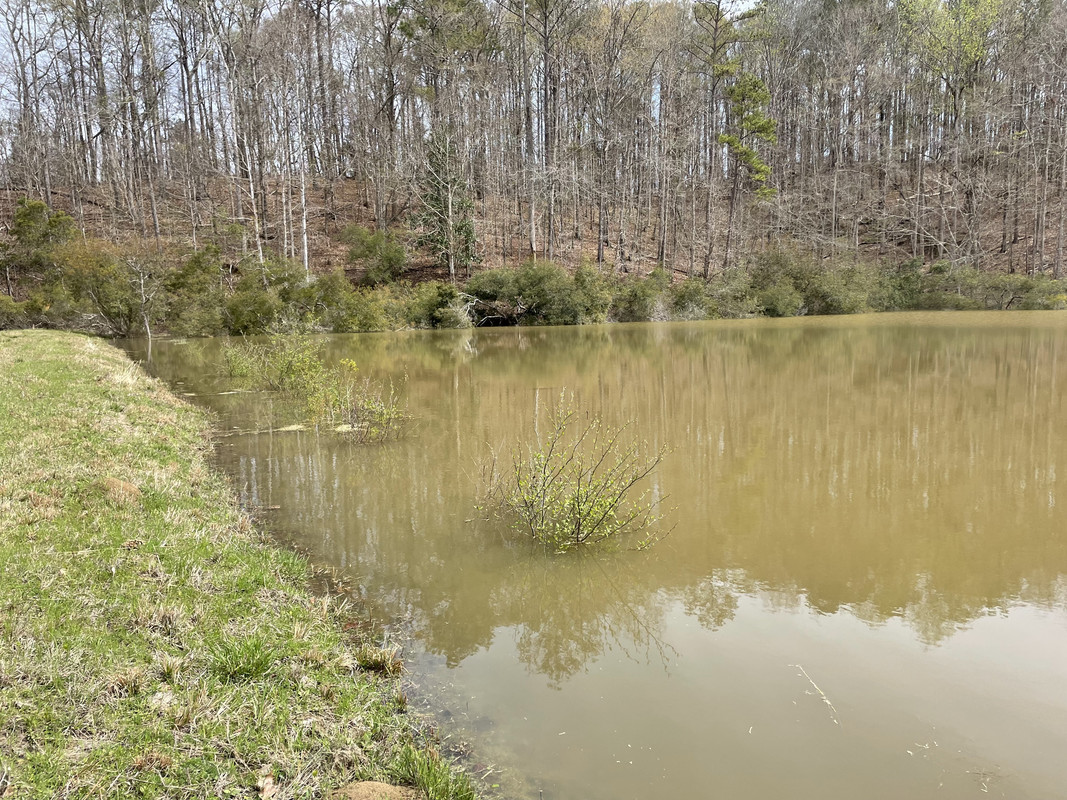 IMG 3472 — Postimages