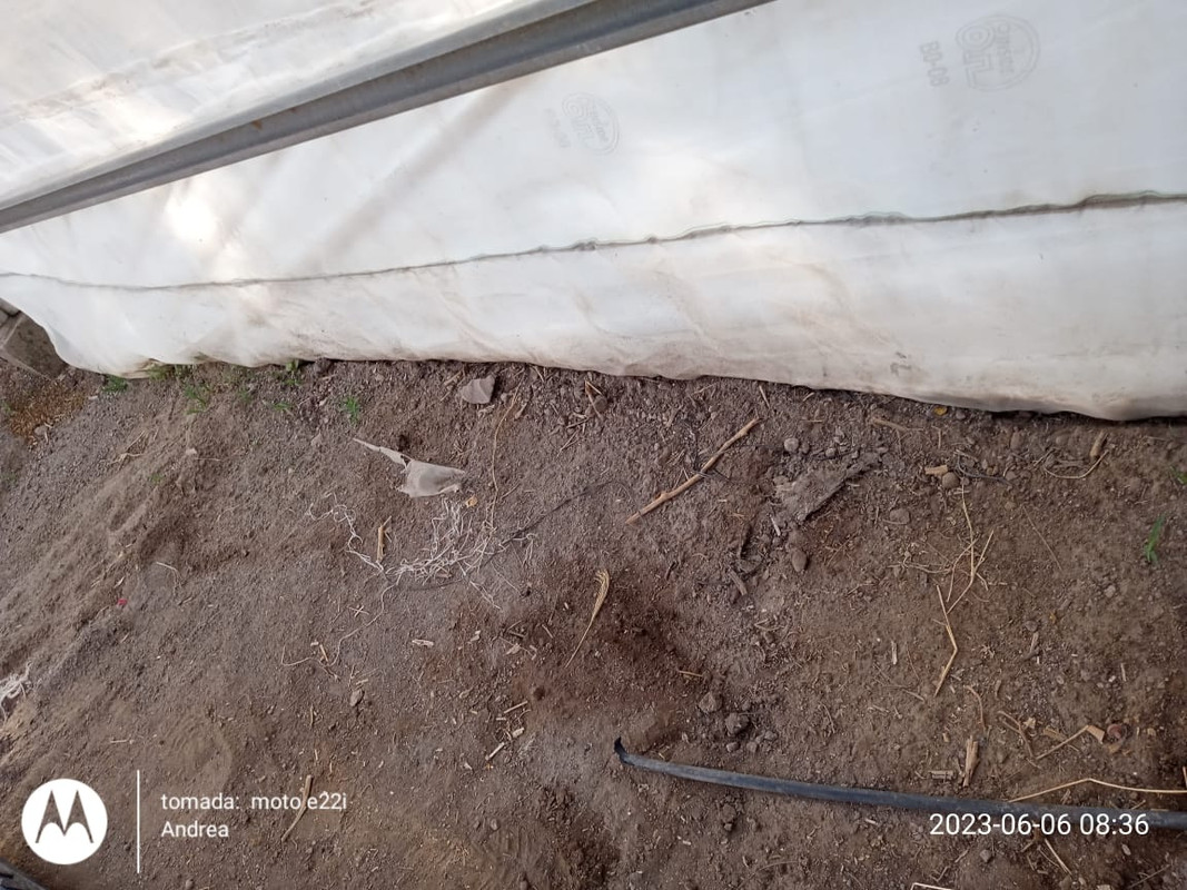 e631308e 0f23 4f14 804f 23db81fb8127 — Postimages