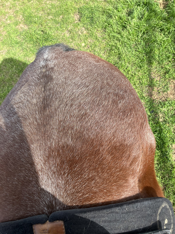 74 EC798 B EB33 44 D3 9 E26 B237 C5 A5 C03 B — Postimages