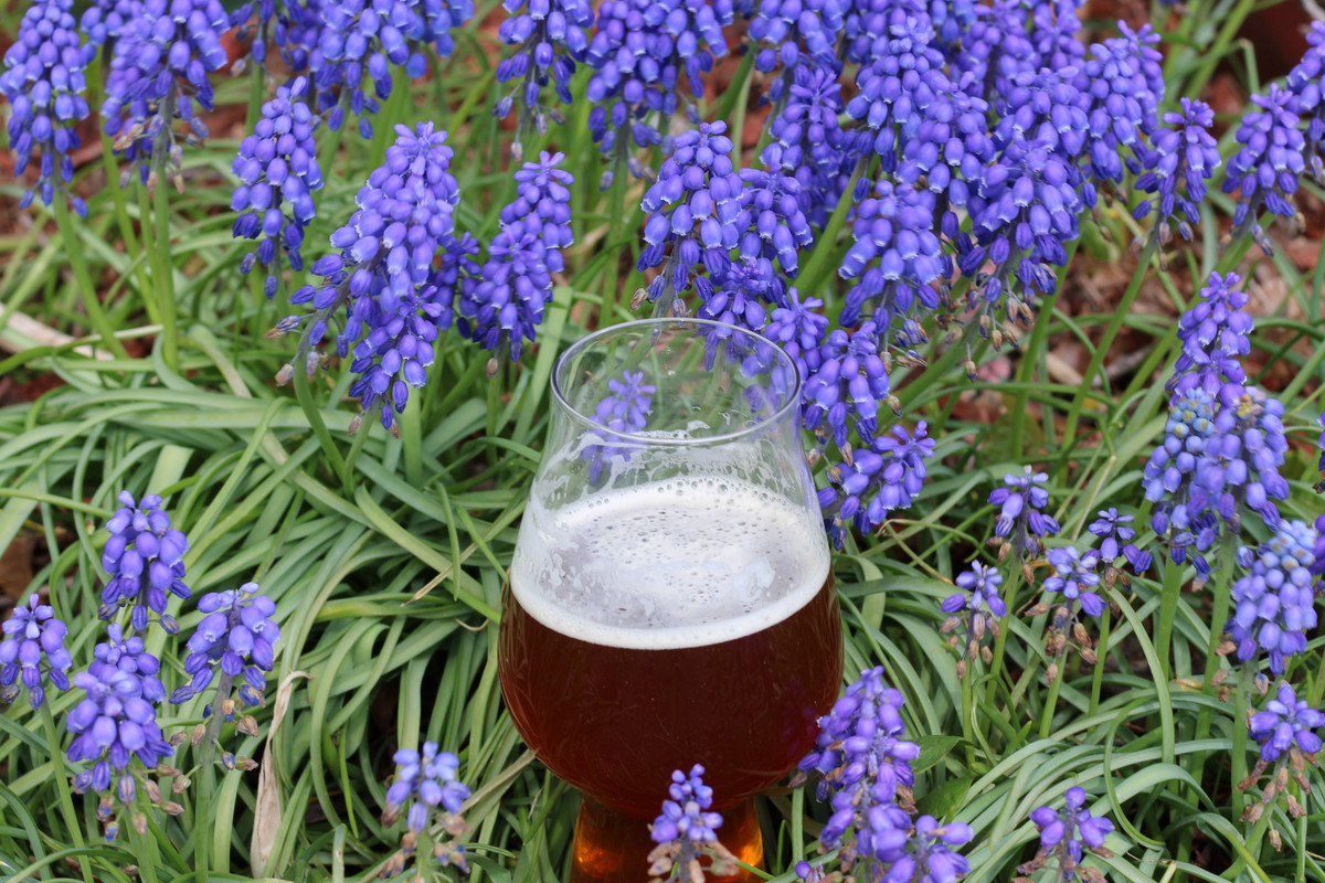 IMG 0121 — Postimages