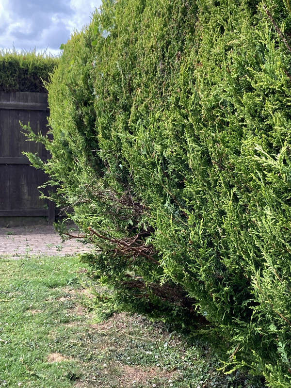 IMG 2677 — Postimages