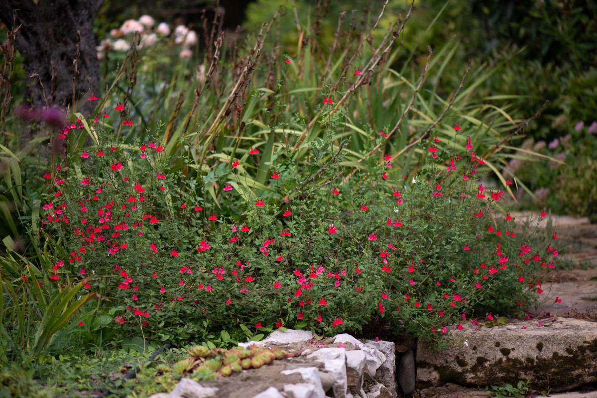 IMG e557ed5a5ab46af01554da139d0ec534 V — Postimages