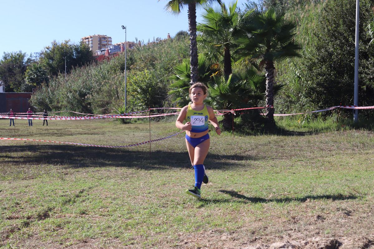 IMG 0528 — Postimages