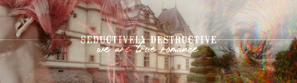 Seductively Destructive, We Are True Romance - Chapter 1 - Rider_445 ...