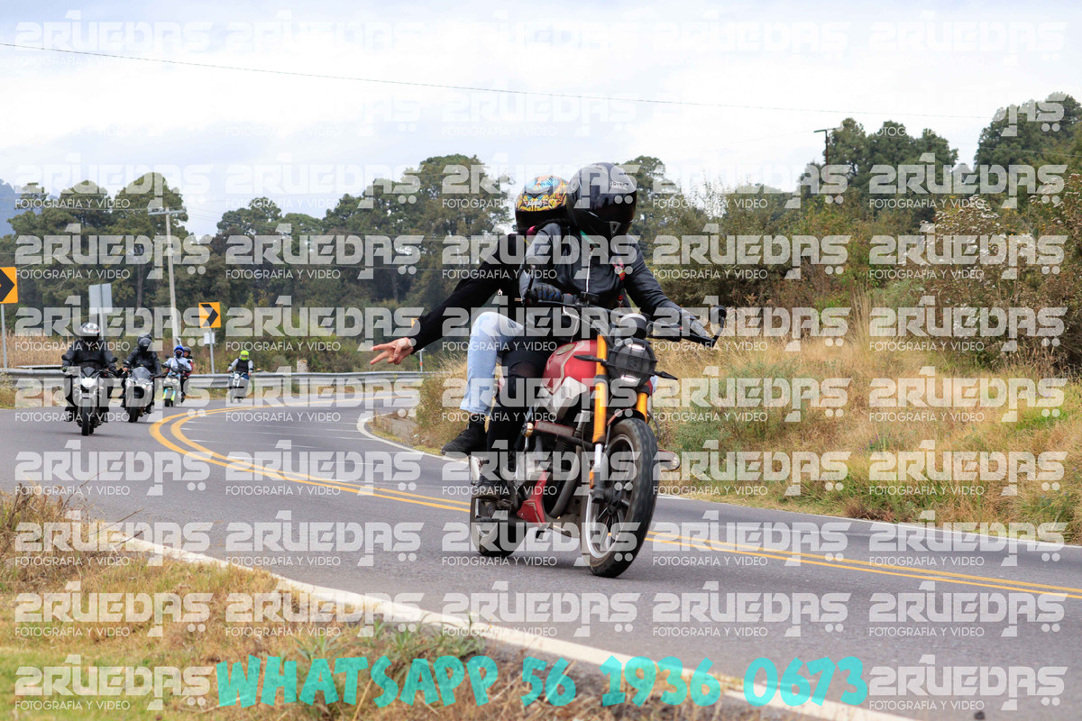 MG 0905 — Postimages