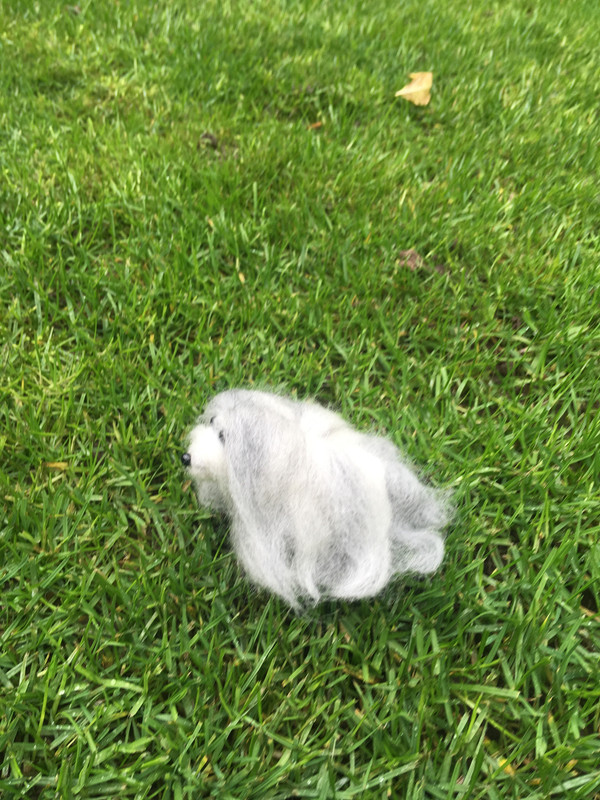 IMG 2654 — Postimages