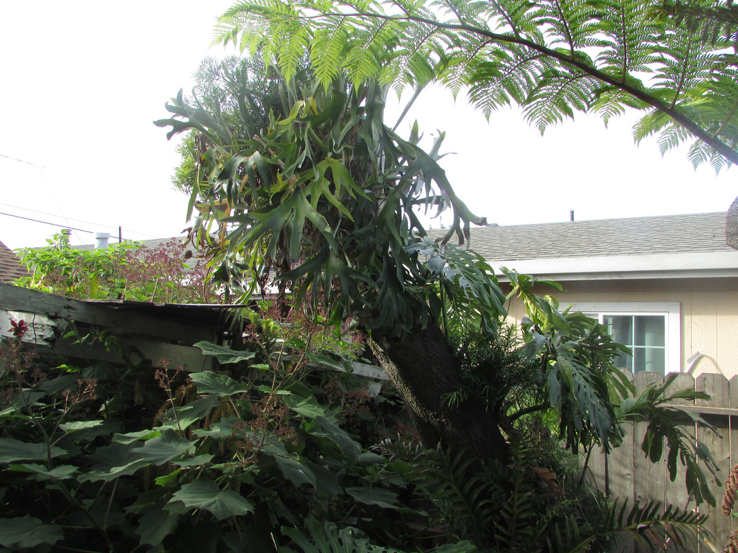 IMG 5462 — Postimages