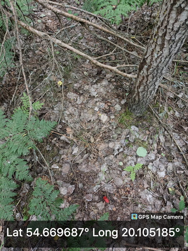 20230704 125948 PM By GPSMap Camera — Postimages