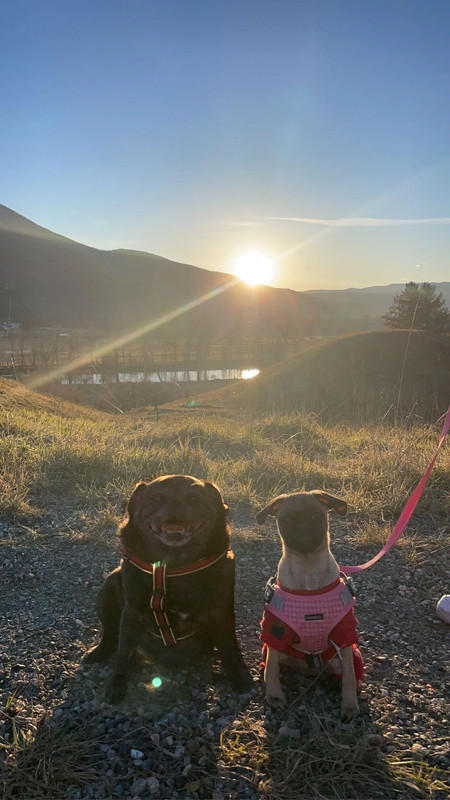 fhgd61yd2thc1 — Postimages