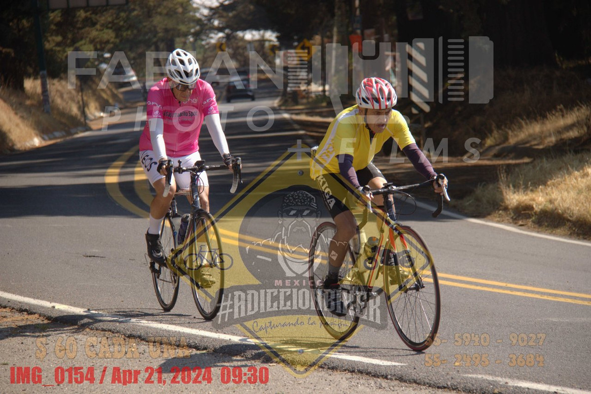 Album — Postimages