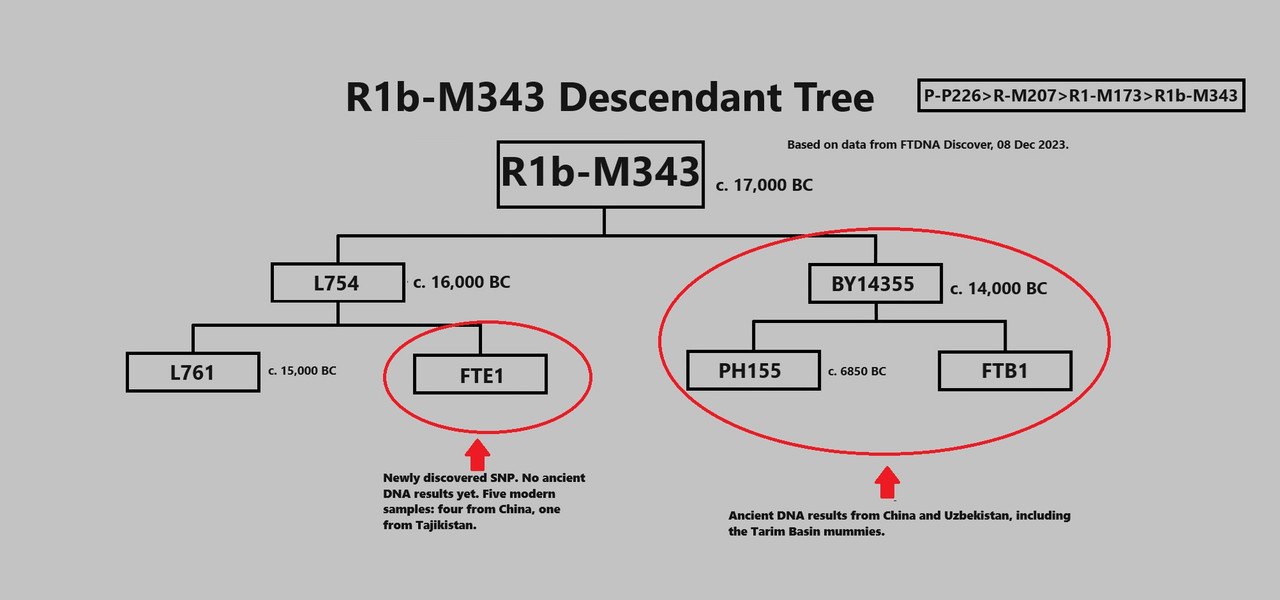 R1b M343 Descendant Tree w scribble notes — Postimages