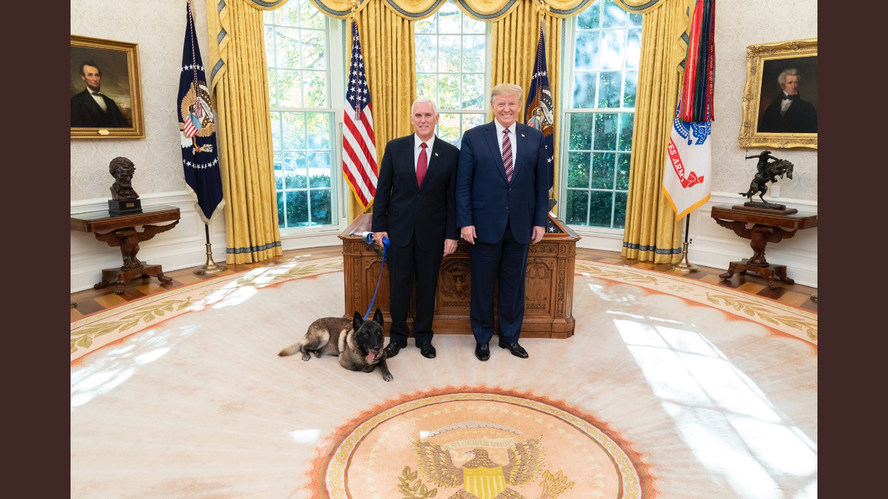 Hero dog visits the White House, receives medal | Political Talk