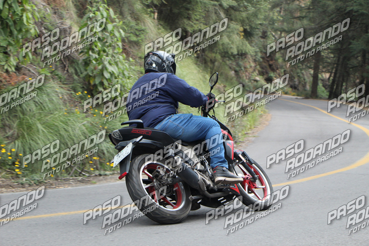 IMG 1111 wm 66763 19999999925 watermarked — Postimages